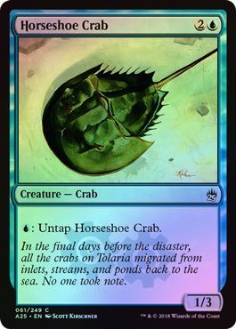 Horseshoe Crab 061/249 - Foil – Troll and Toad