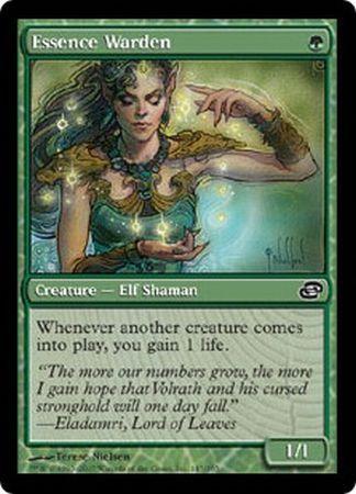 Essence Warden – Troll and Toad